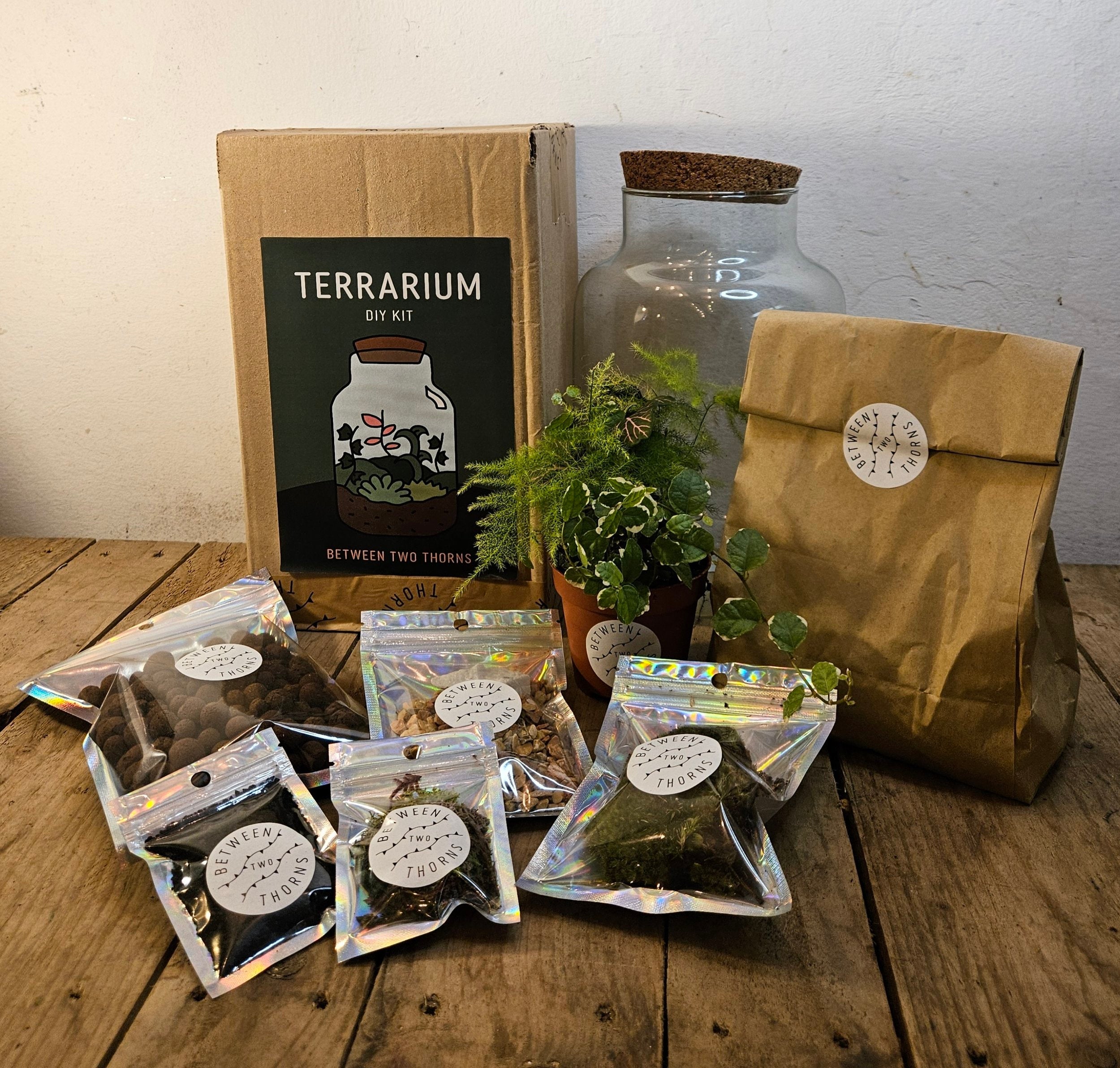 The Ultimate Step-by-Step Guide to Making a Terrarium & Between Two Thorns